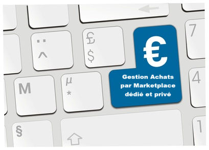 Marketplace dédié et privé : optimisation des achats - www.DEMETER-FB ...